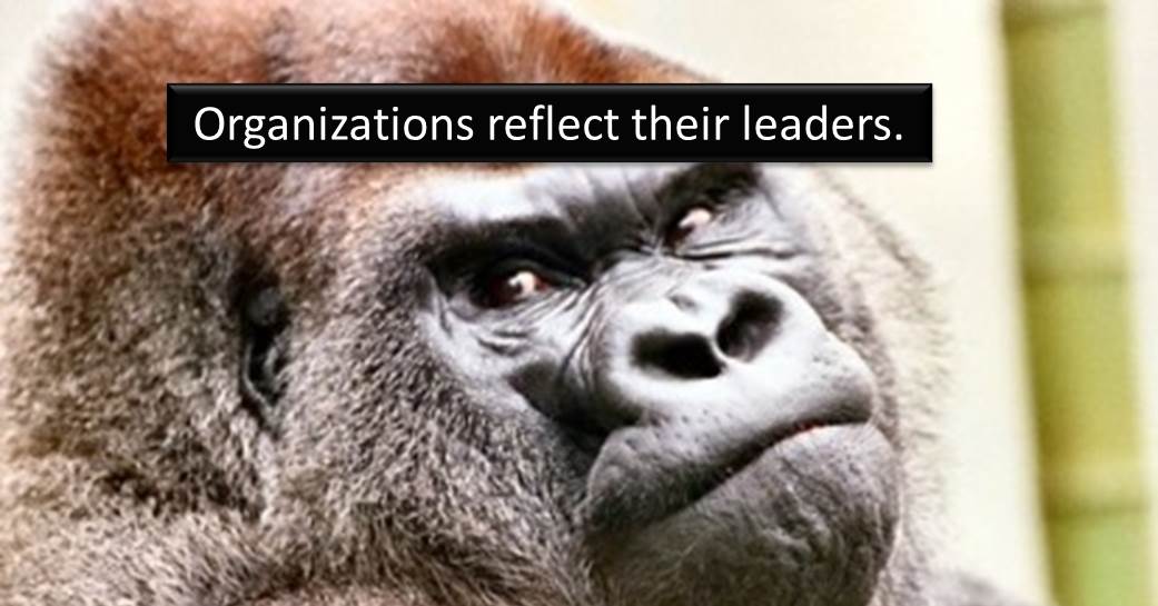 20 Things all Great Organizational Leaders Do - Leadership Freak