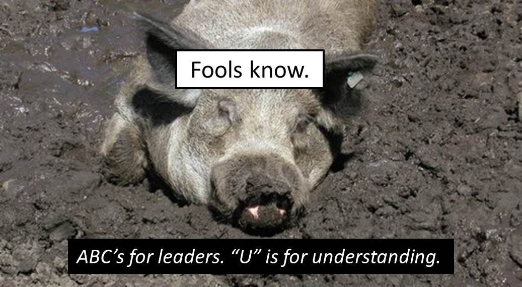 20 Ways to Spot Leaders with Understanding - Leadership Freak