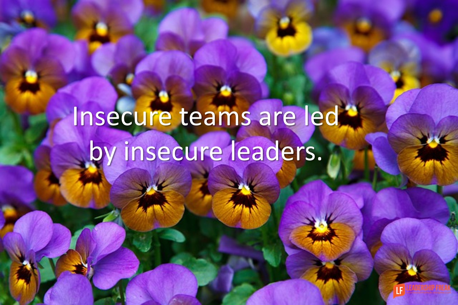 Top 10 Behaviors of Insecure Leaders - Leadership Freak