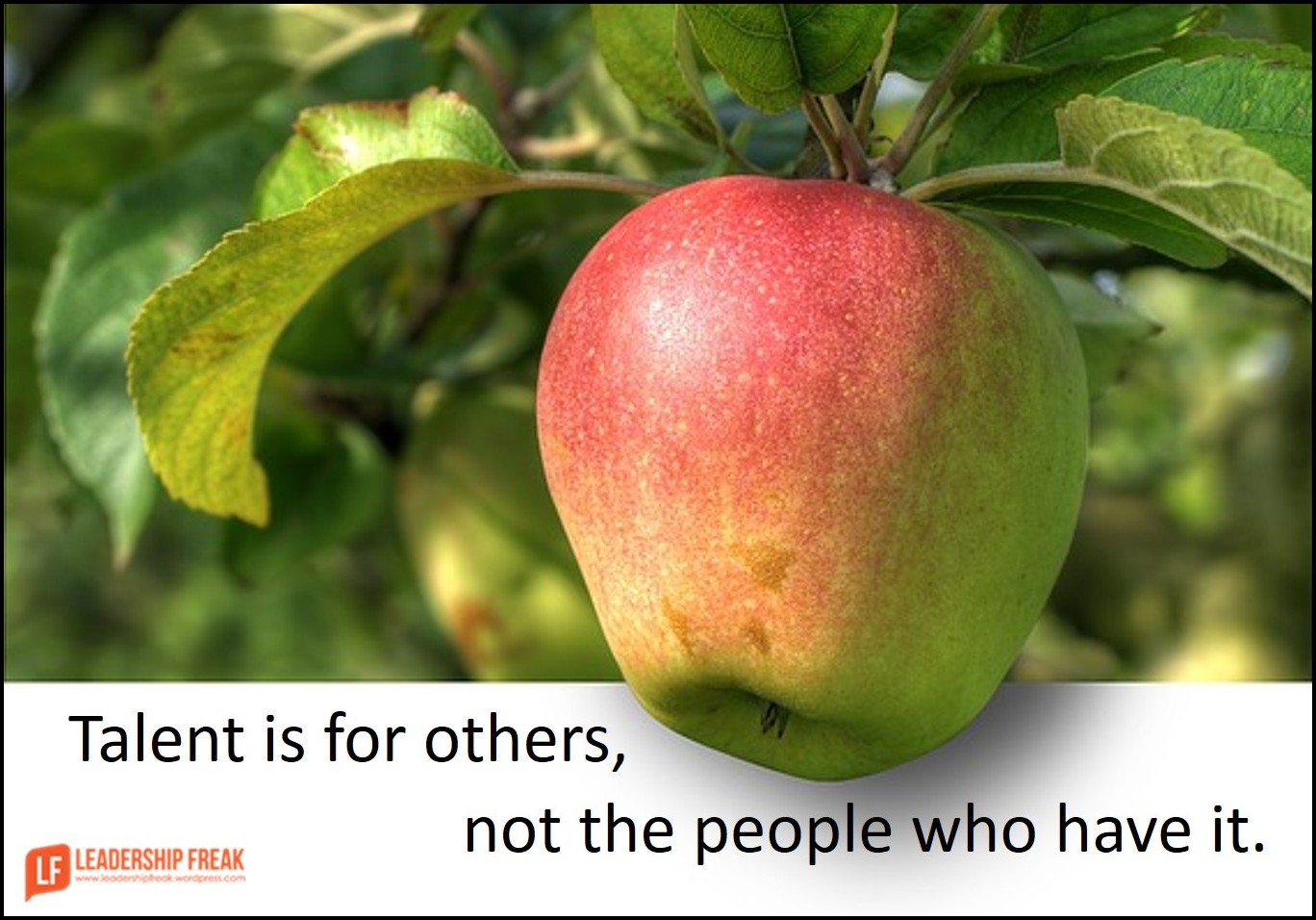 7 Surprising Ways to Spot Talent - Leadership Freak