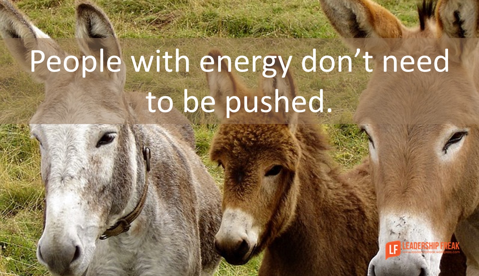 How to Expand Power - Leadership Freak