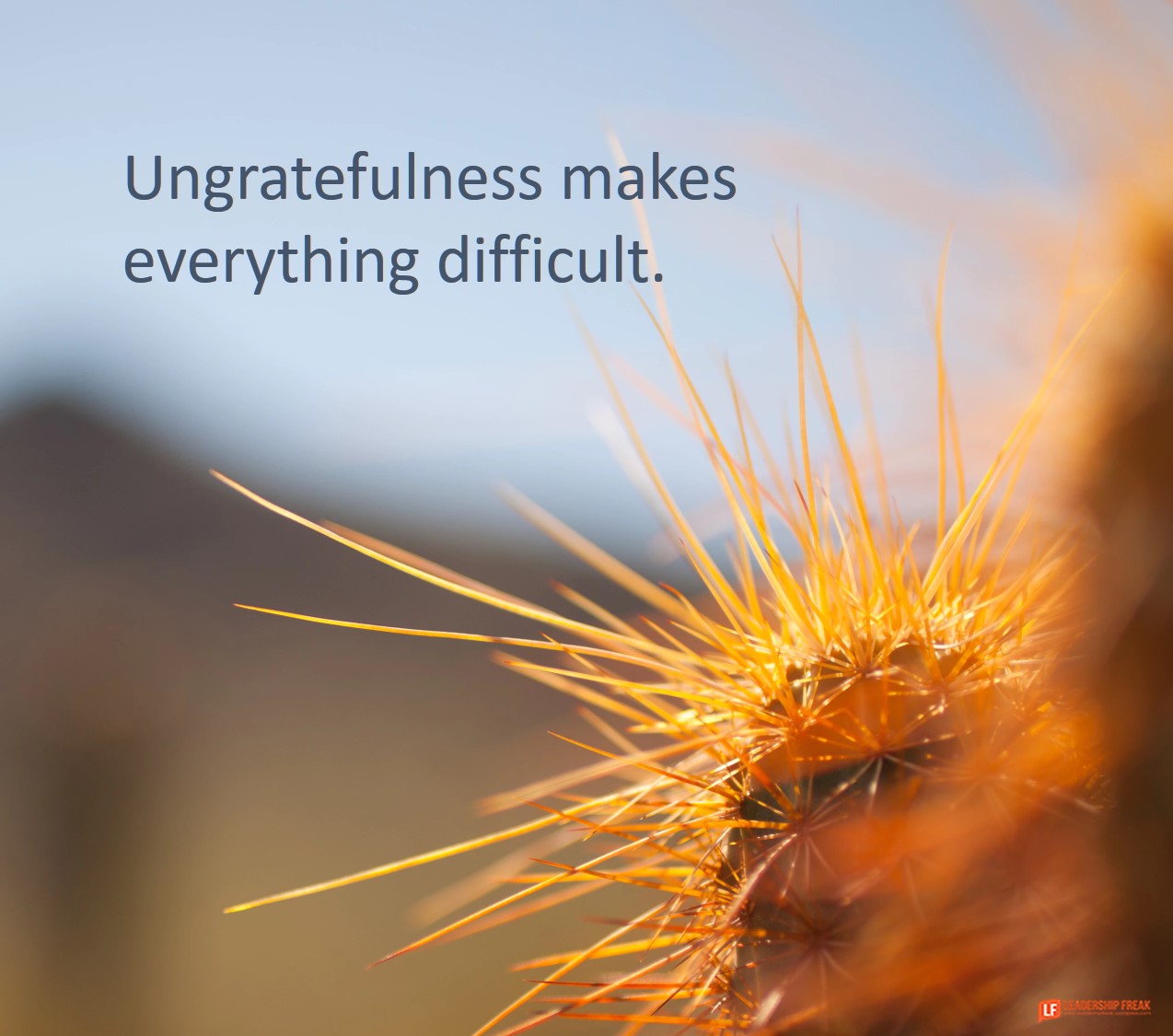 How to Find Your Grateful Mind - Leadership Freak