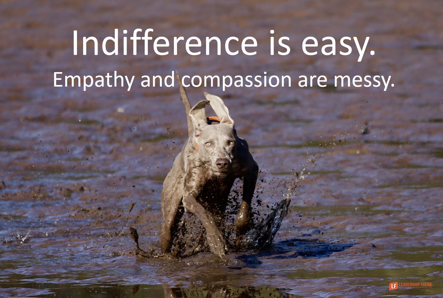 The Truth About Empathy Leadership Freak