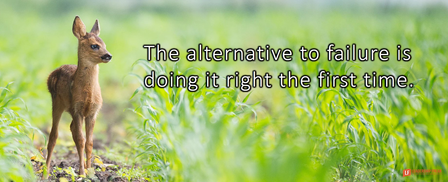 Responsible Mistake-Making: You Suck Before You Shine - Leadership Freak